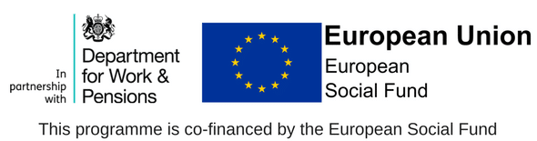 Work & Health Programme • SCDA